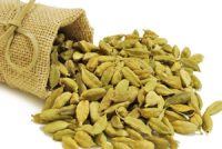 The History of Cardamom | MySpicer.com | Spices, Herbs & Blends