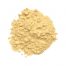 Dijon Mustard Powder | Bulk Herbs and Spices | MySpicer