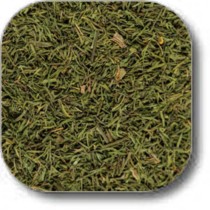 DILL WEED (DOMESTIC) - MySpicer | Spices, Herbs, Seasonings