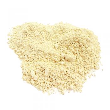 Horseradish Powder | Wholesale | MySpicer.com