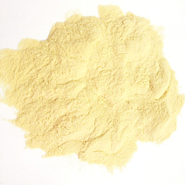 Malt Powder | Wholesale | MySpicer.com